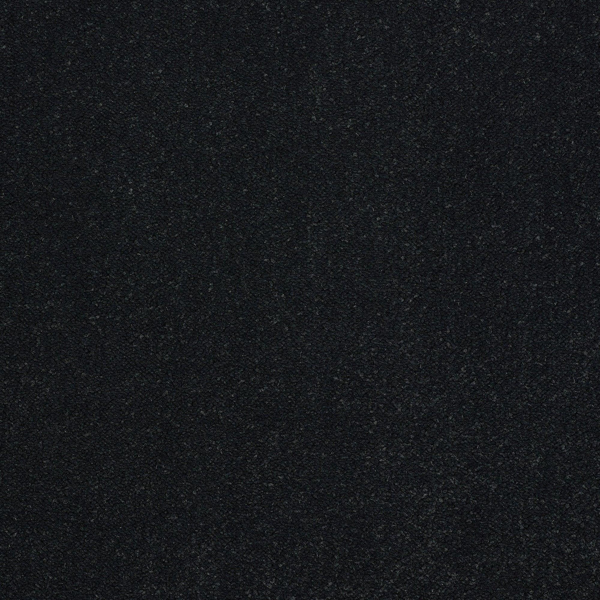 Abingdon Pure Elegance - Black Raven Carpet – Direct Carpet Centre