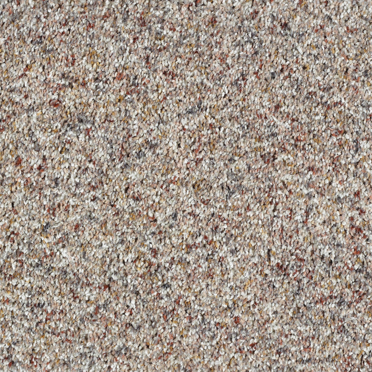 Wild Silk - Confetti Carpet – Direct Carpet Centre
