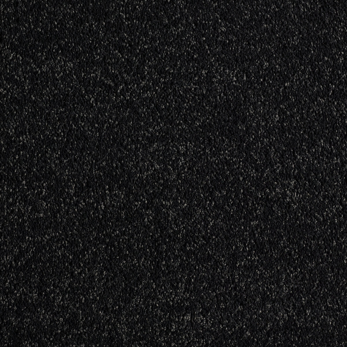 Abingdon Hidden Depths - Twilight Carpet – Direct Carpet Centre