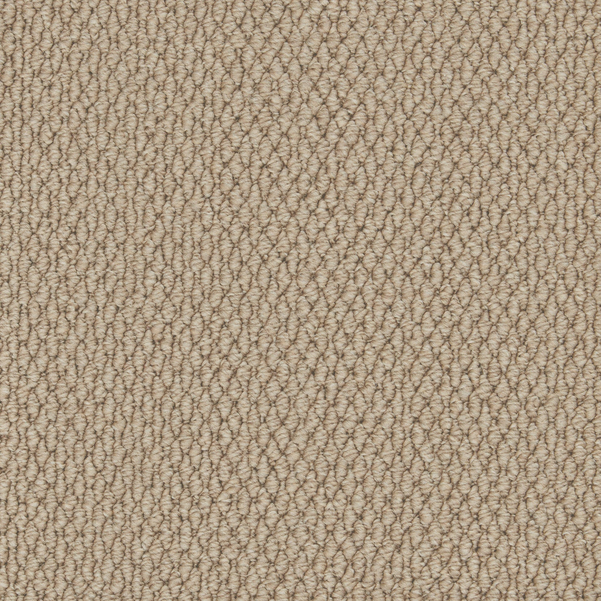 Cormar Primo Textures Weave - Elk Carpet– Direct Carpet Centre